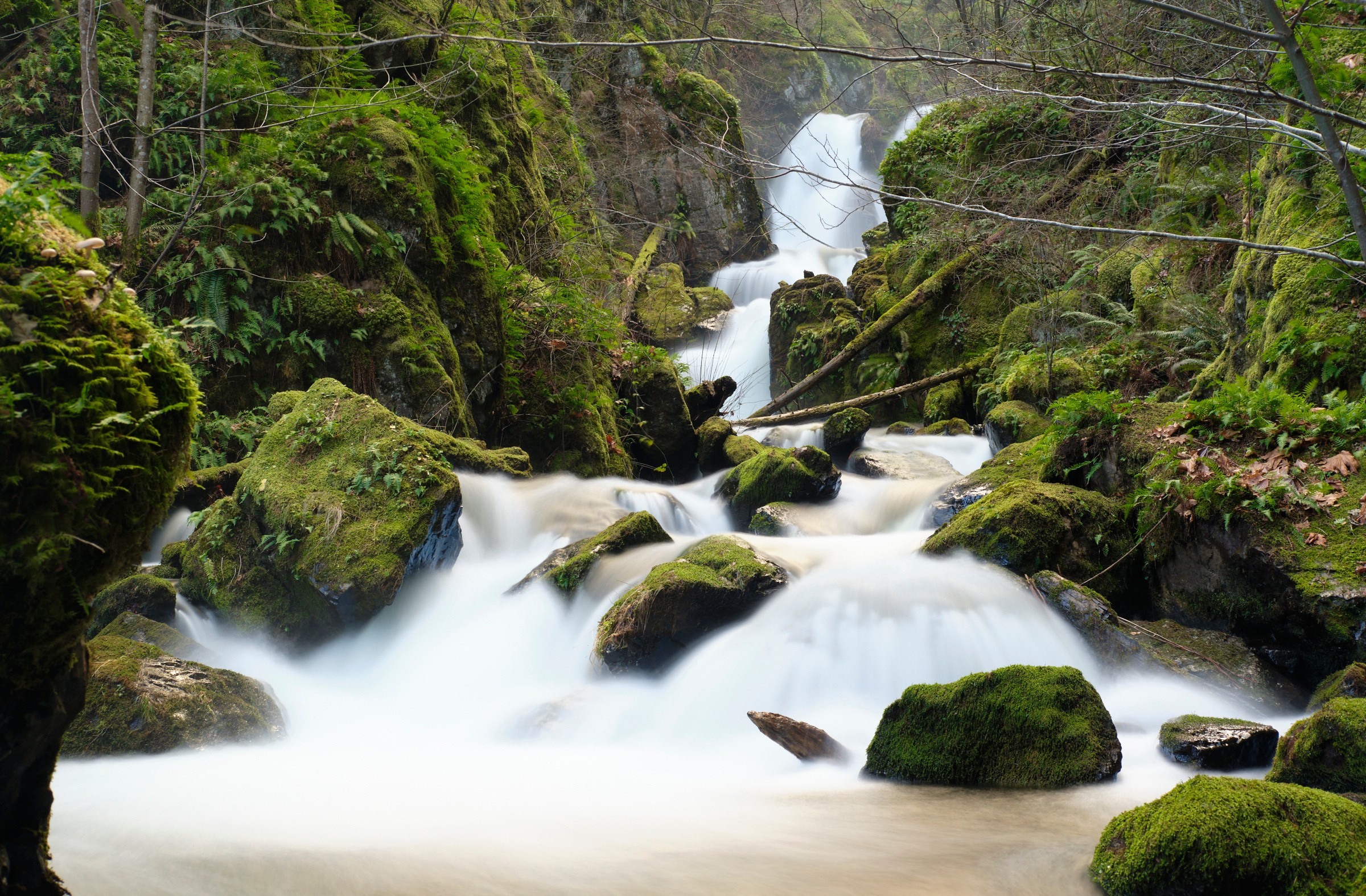 Harrison Falls | Natural Atlas