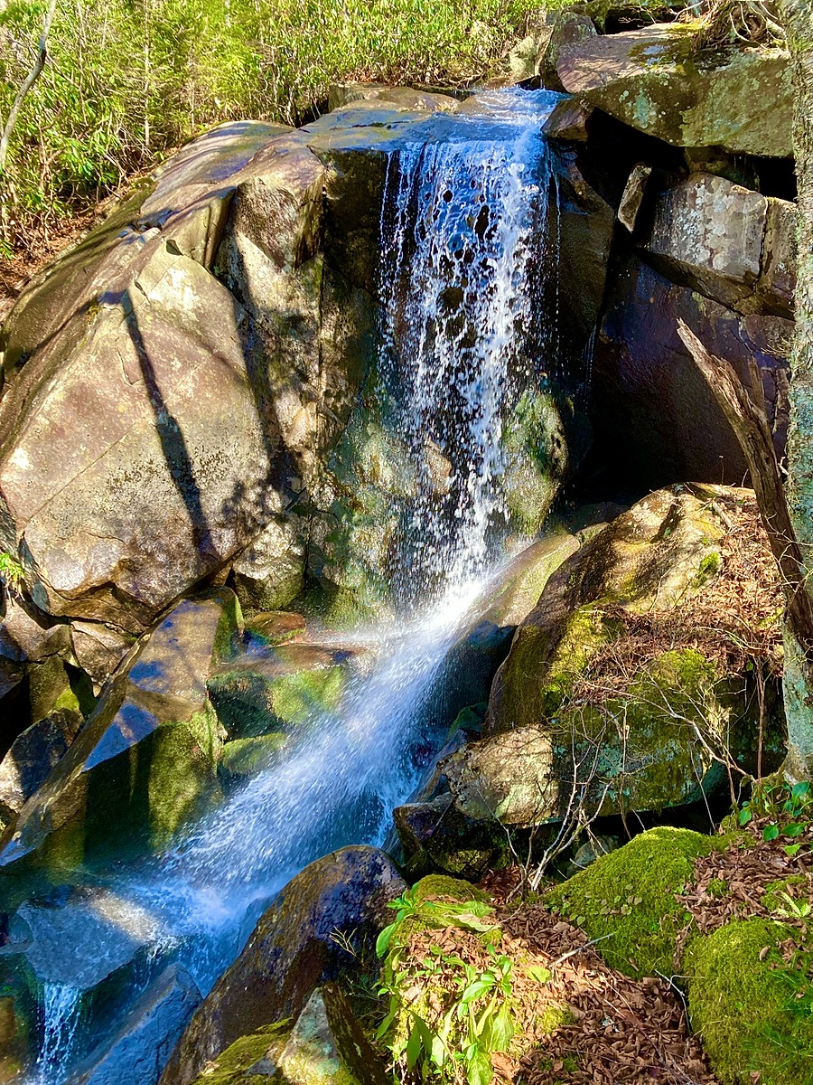 Wilson Falls | Natural Atlas