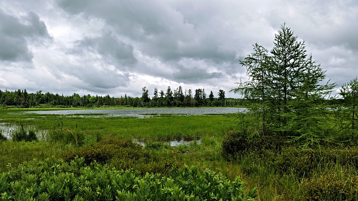 Headwaters Wilderness Map, WI – Natural Atlas