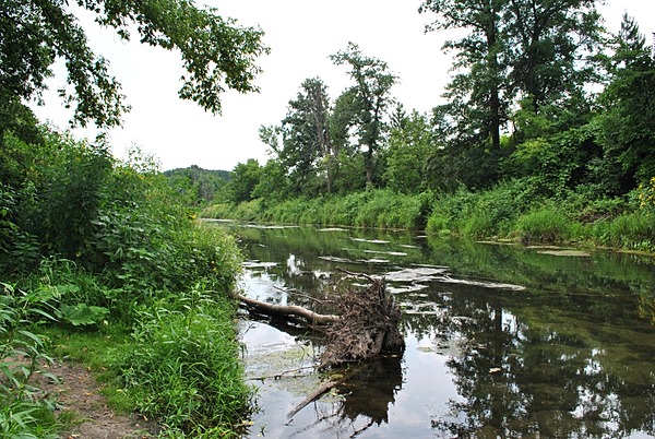 Rush River | Natural Atlas