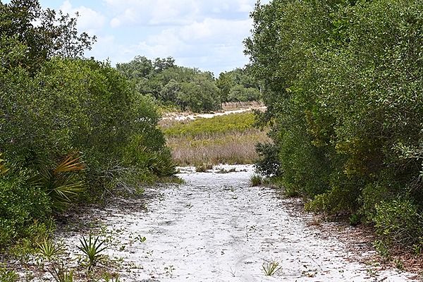 Allen David Broussard Catfish Creek Preserve State Park, Polk County ...