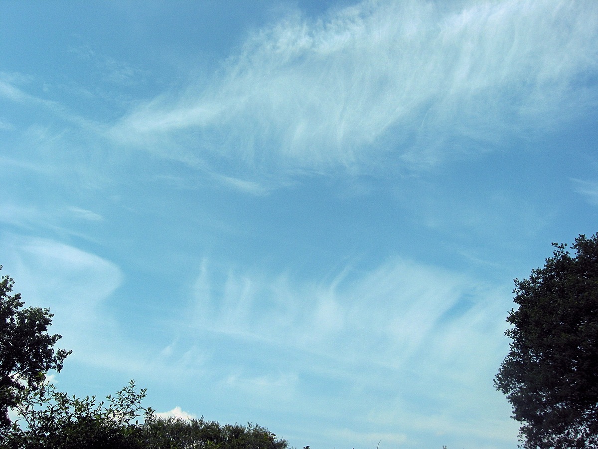 Cirrus Clouds | Natural Atlas