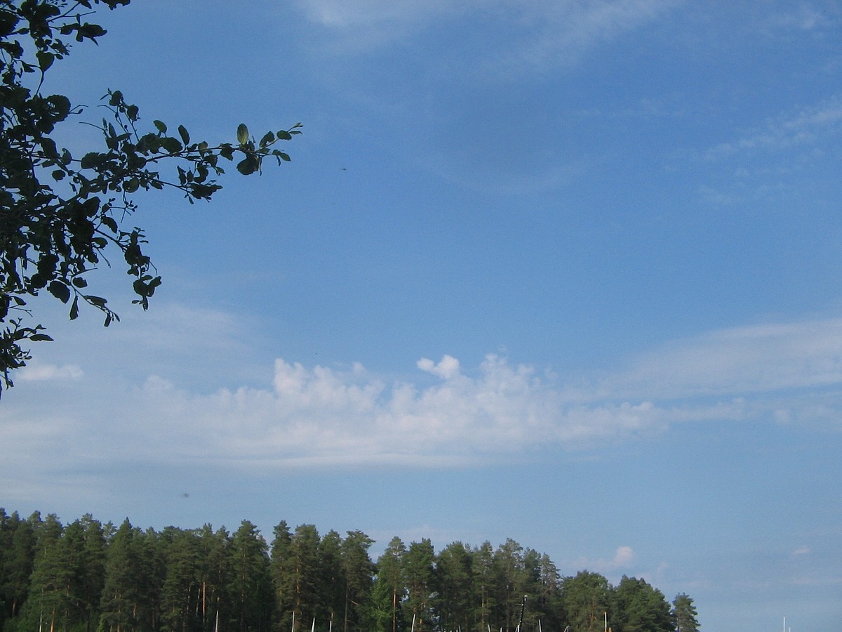 Altocumulus Castellanus Clouds | Natural Atlas