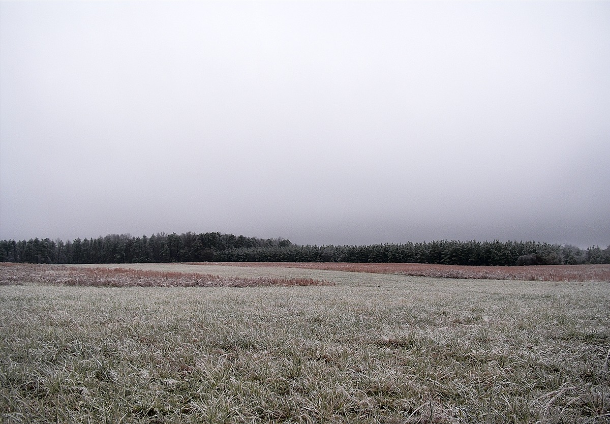 Stratus Clouds | Natural Atlas