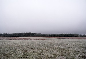 Stratus Clouds | Natural Atlas