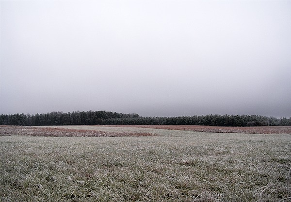 Stratus Clouds | Natural Atlas