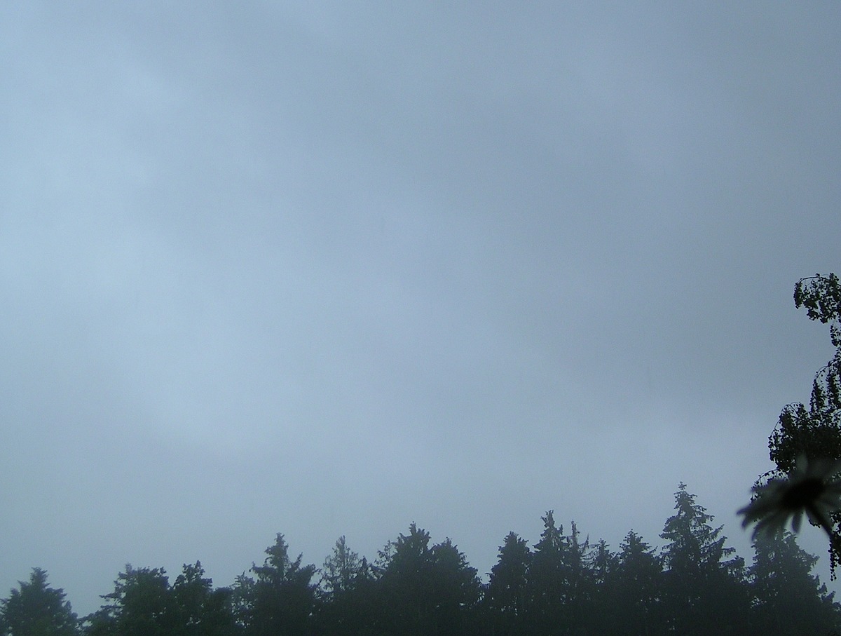 Stratus Clouds | Natural Atlas