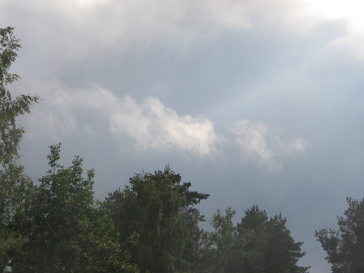 Stratus Clouds | Natural Atlas
