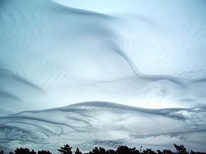 Asperitas Clouds | Natural Atlas