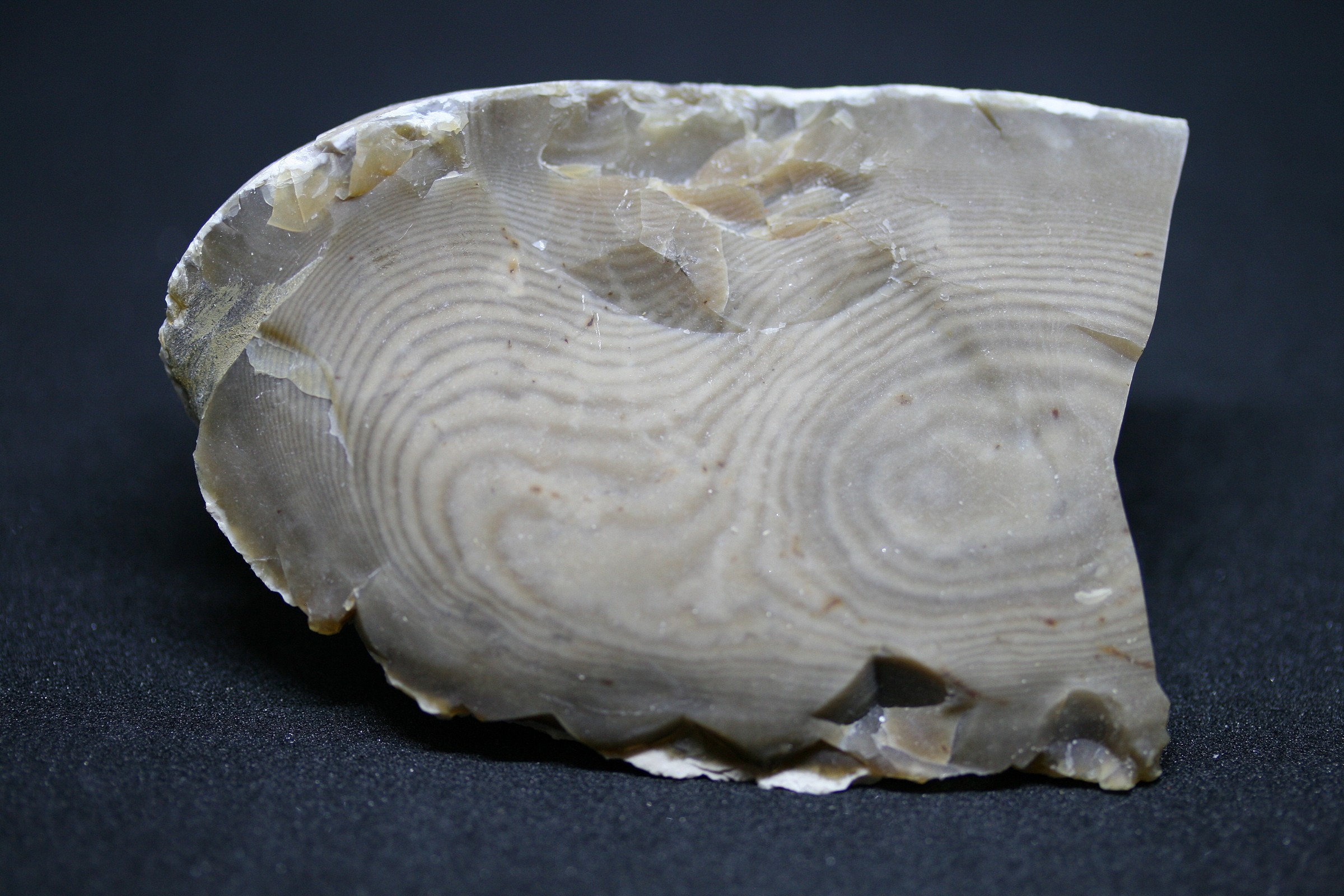 Flint | Natural Atlas