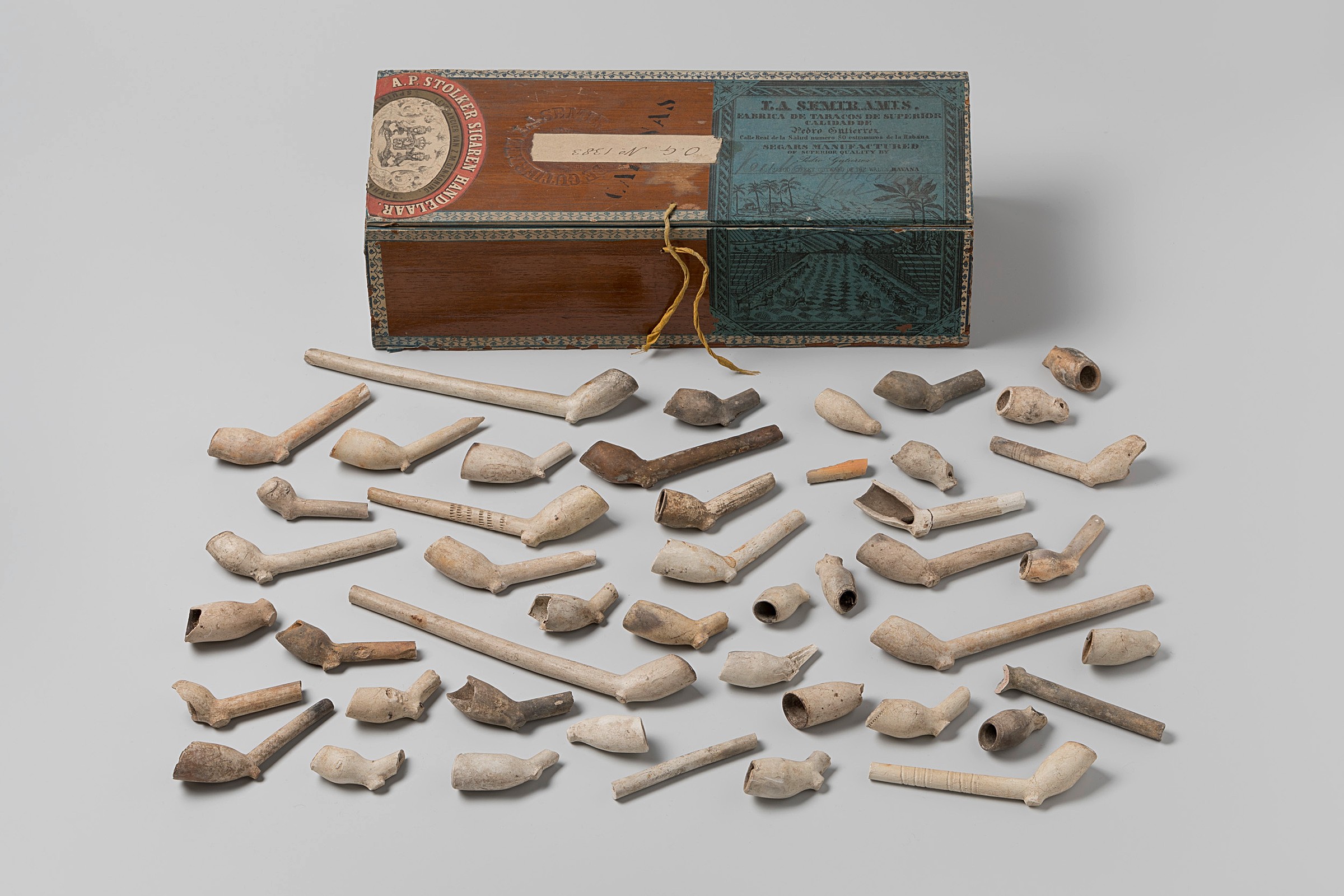 Pelite | Natural Atlas