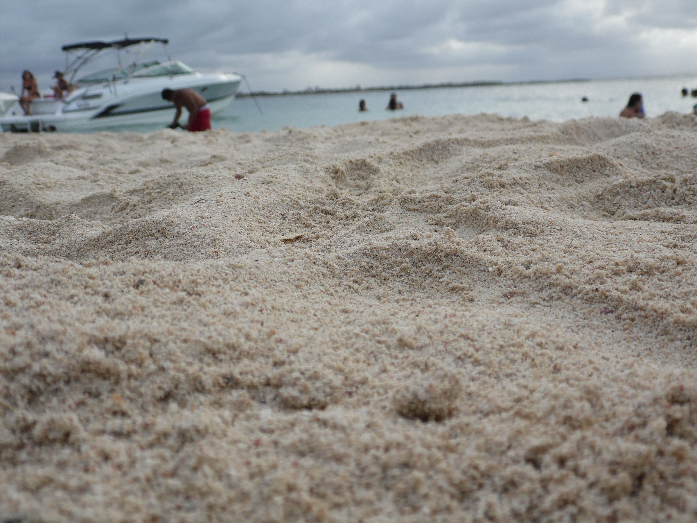 Psammite | Natural Atlas