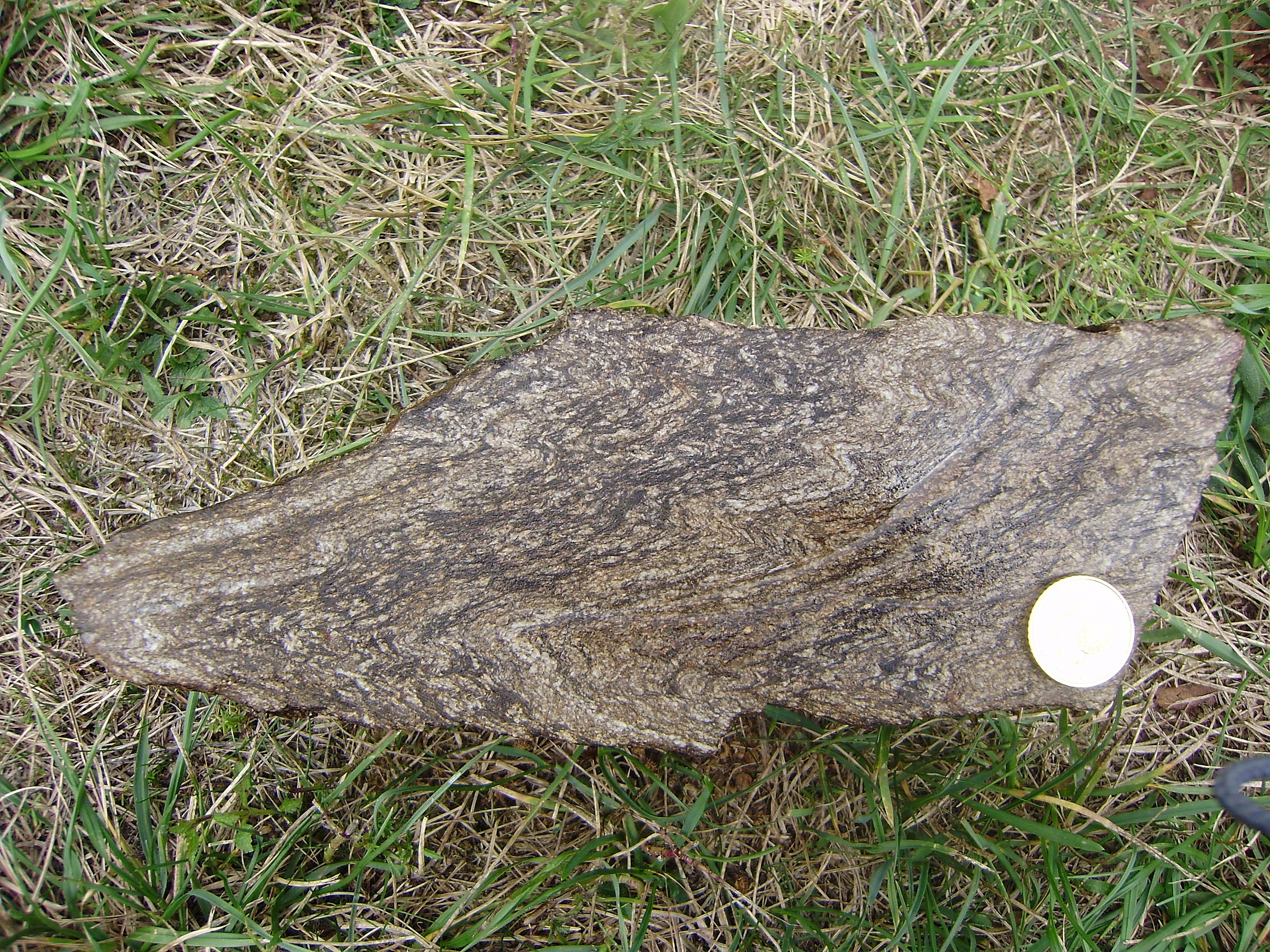 Gneiss | Natural Atlas