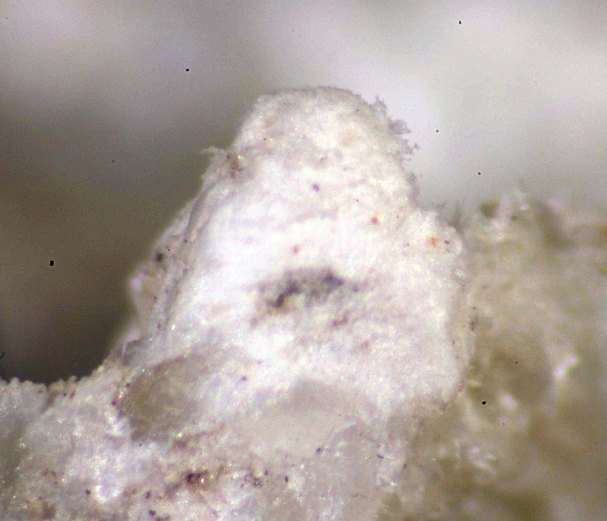 Zeolite | Natural Atlas