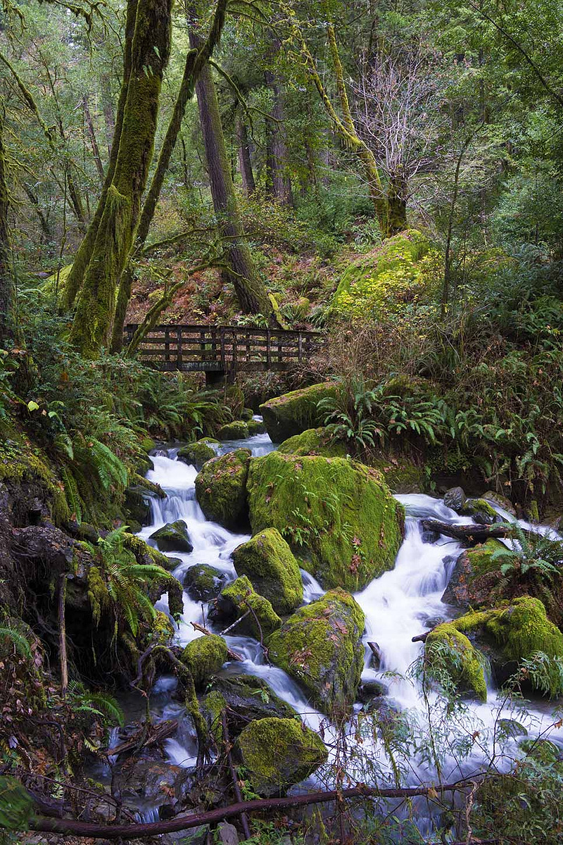 Chetco River Map (Alfred A. Loeb State Park) – Natural Atlas
