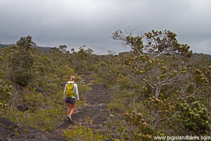 Hilo Watershed Forest Reserve Map, HI – Natural Atlas